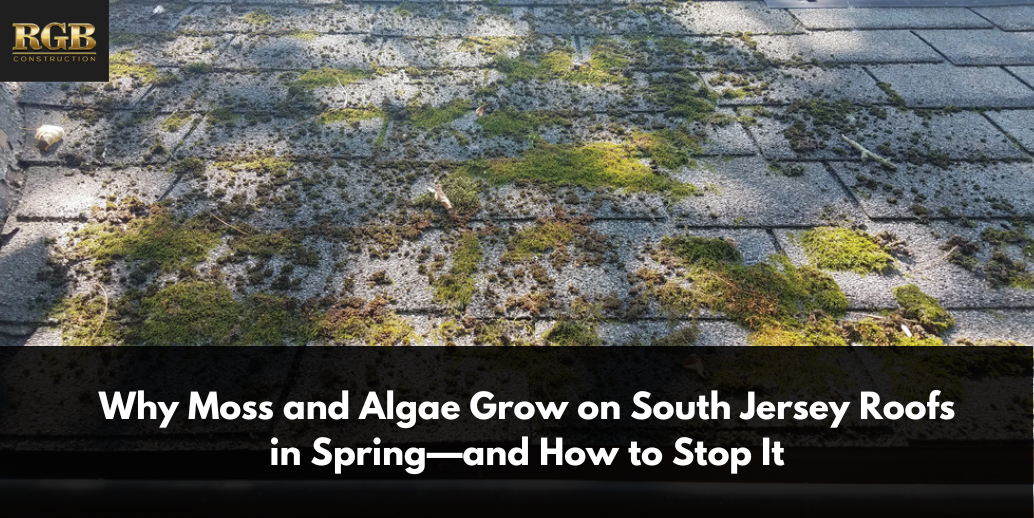 Why Moss And Algae Grow On South Jersey Roofs In Spring—and How To Stop ...
